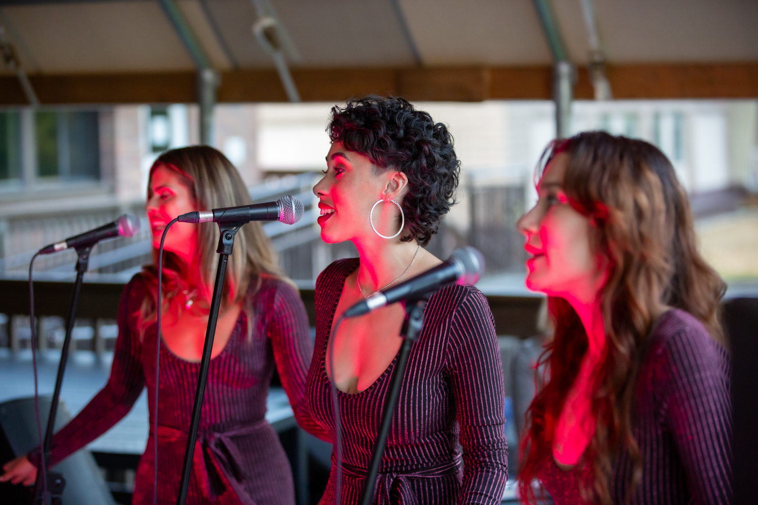 Dimes Entertainment – Specialty Live Music & Party Band
